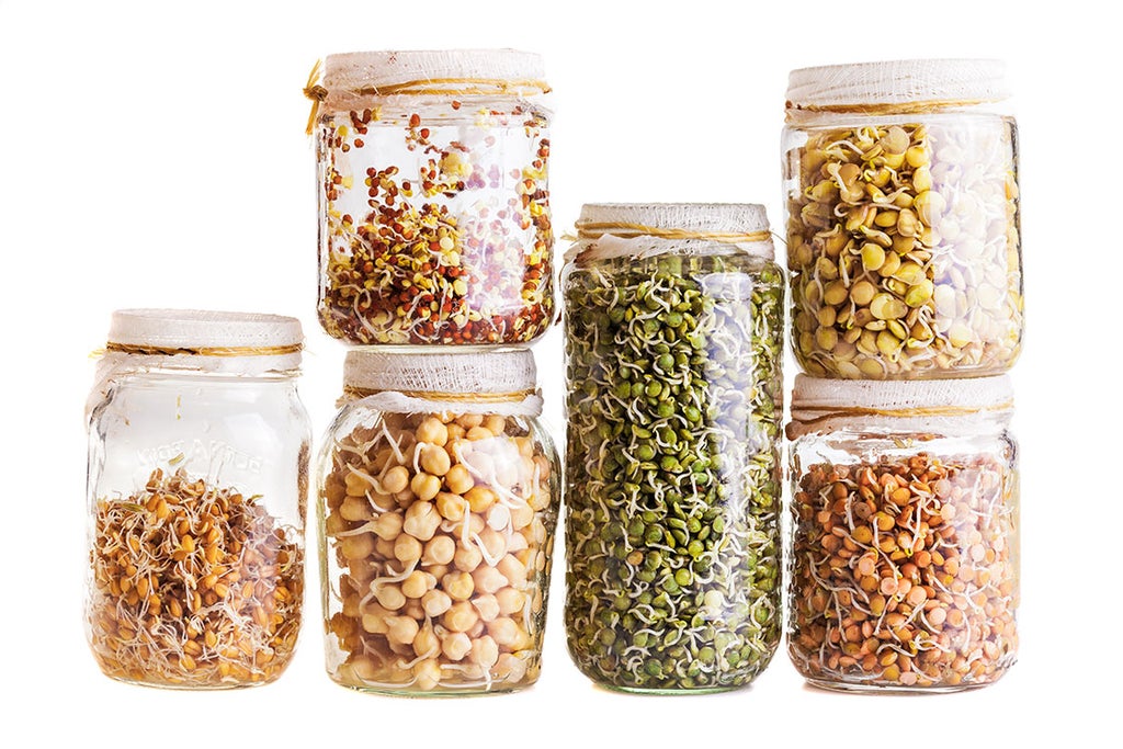 How to Soak & Sprout Nuts, Seeds, Grains, & Beans - Vegetarian Times