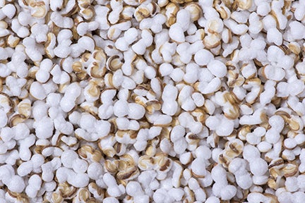 Supereasy Vegan: Popped Amaranth - Vegetarian Times