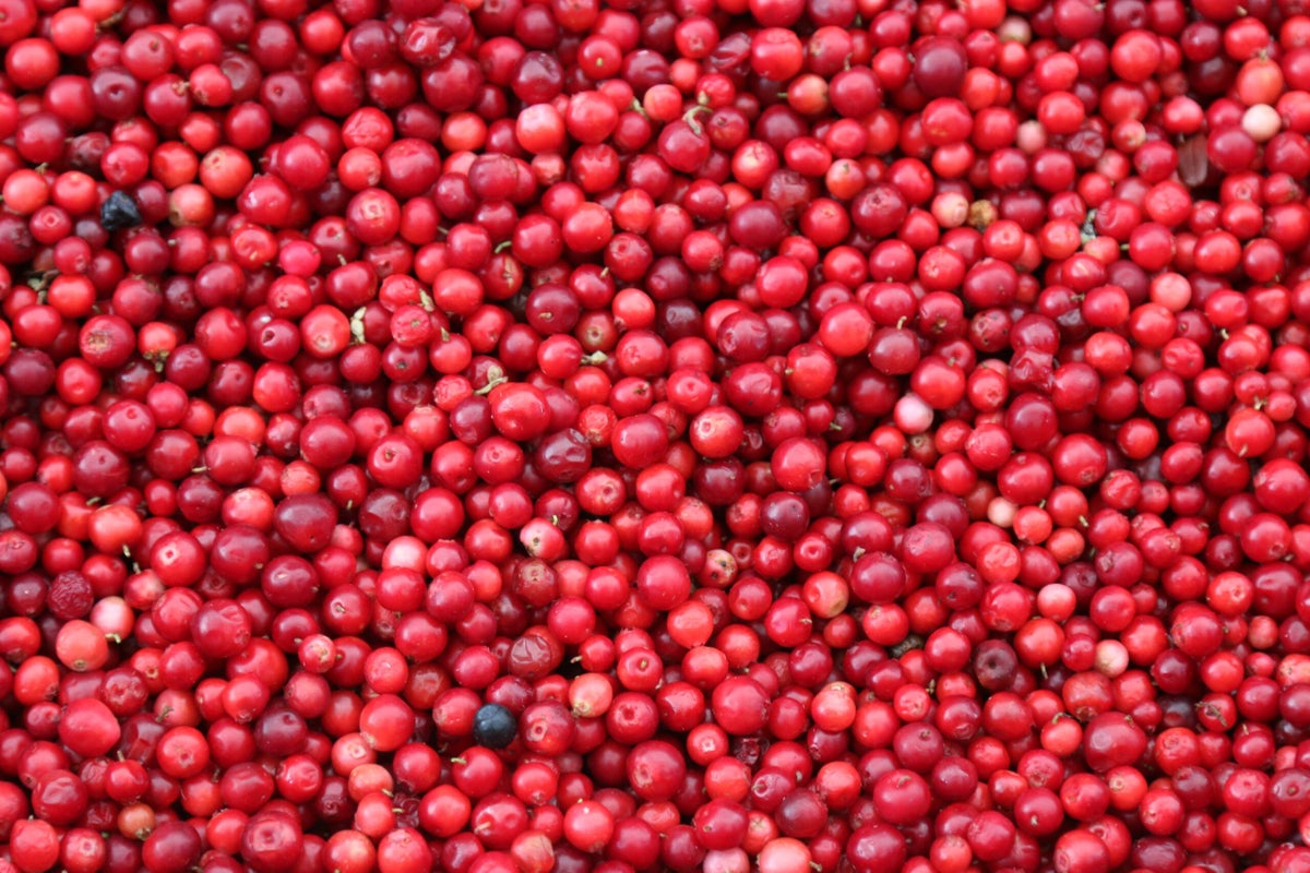 Double Cranberry Chutney Recipe