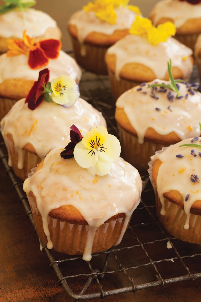 Summer Squash Citrus Yogurt Cupcakes Recipe