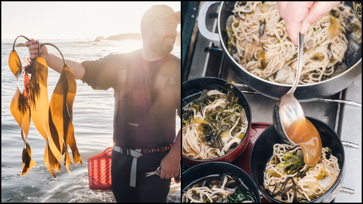 Seaweed Foraging Along the California Coast a 'Vegan Hunting' Guide