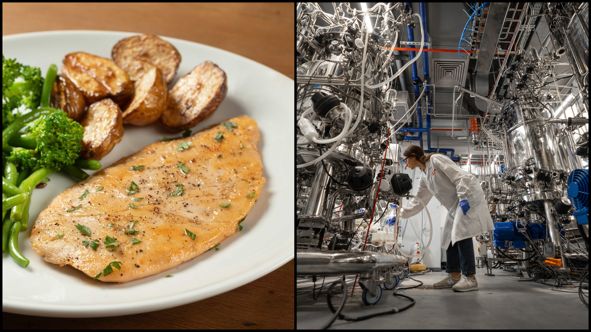 Future Meat Says 'Cultivated Meat' Is Getting Closer to U.S. Consumers