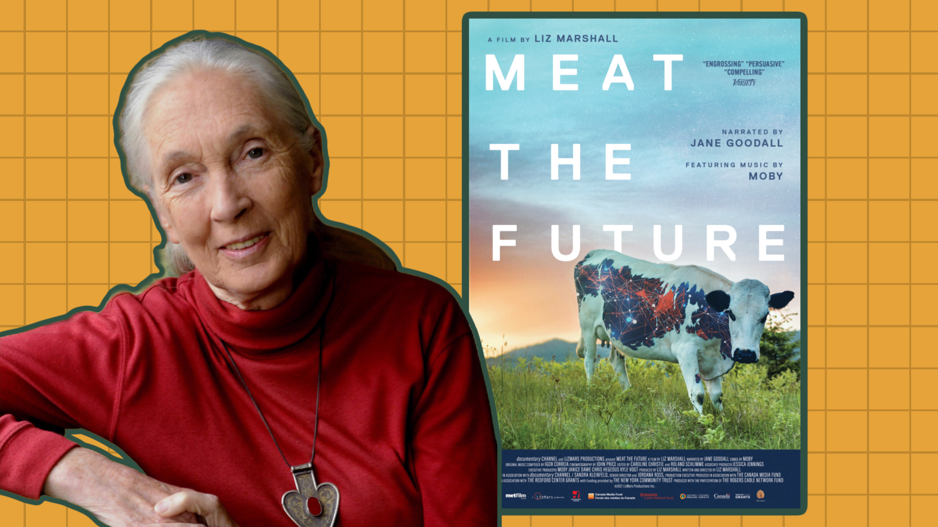 Meat the Future Documentary: Notes on the Future of Agriculture